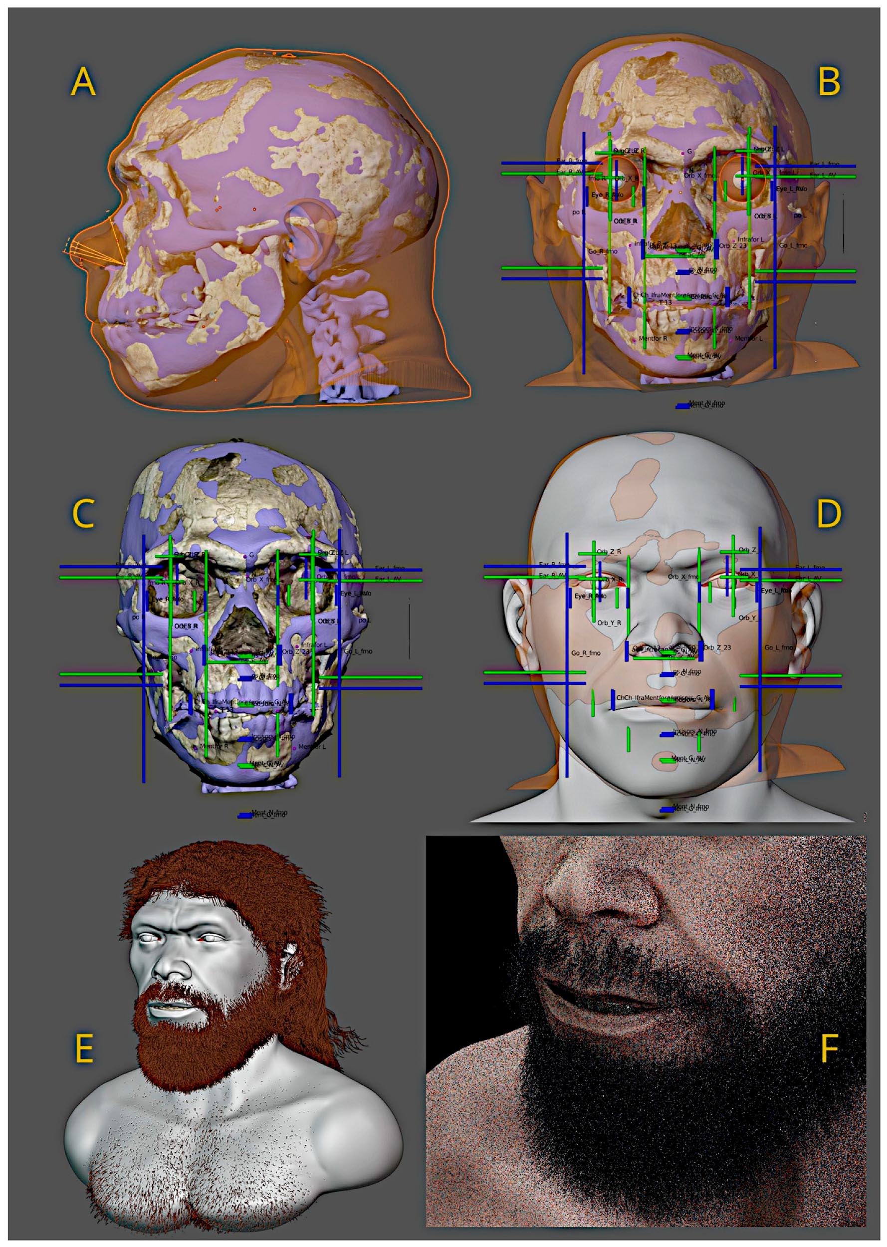This newly reconstructed face belongs to the earliest known member of ...