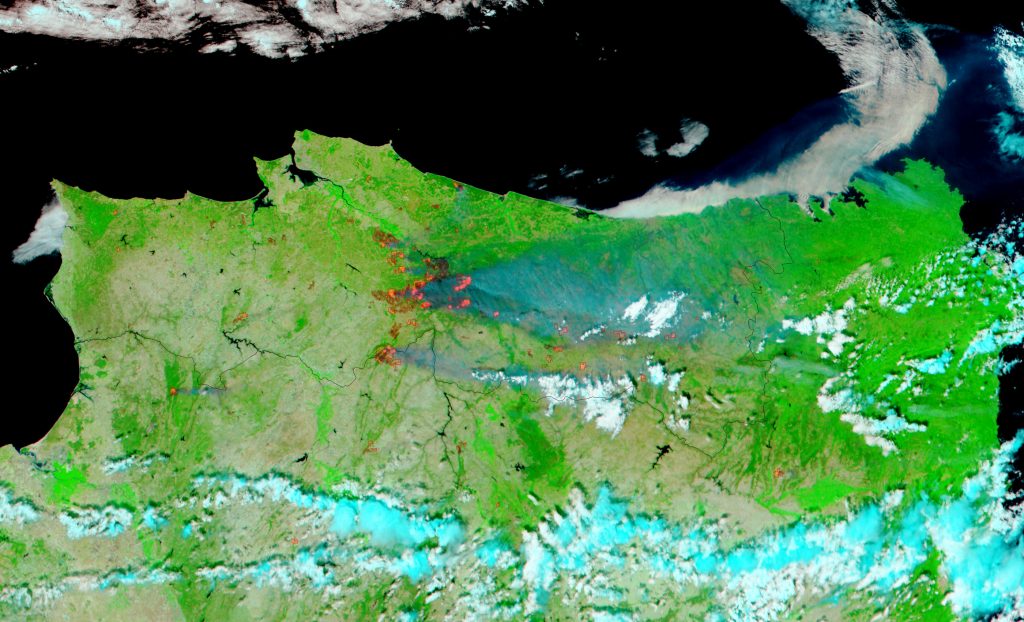 Fires, Smoke, and Burn Scars Across Portugal - Earth.com