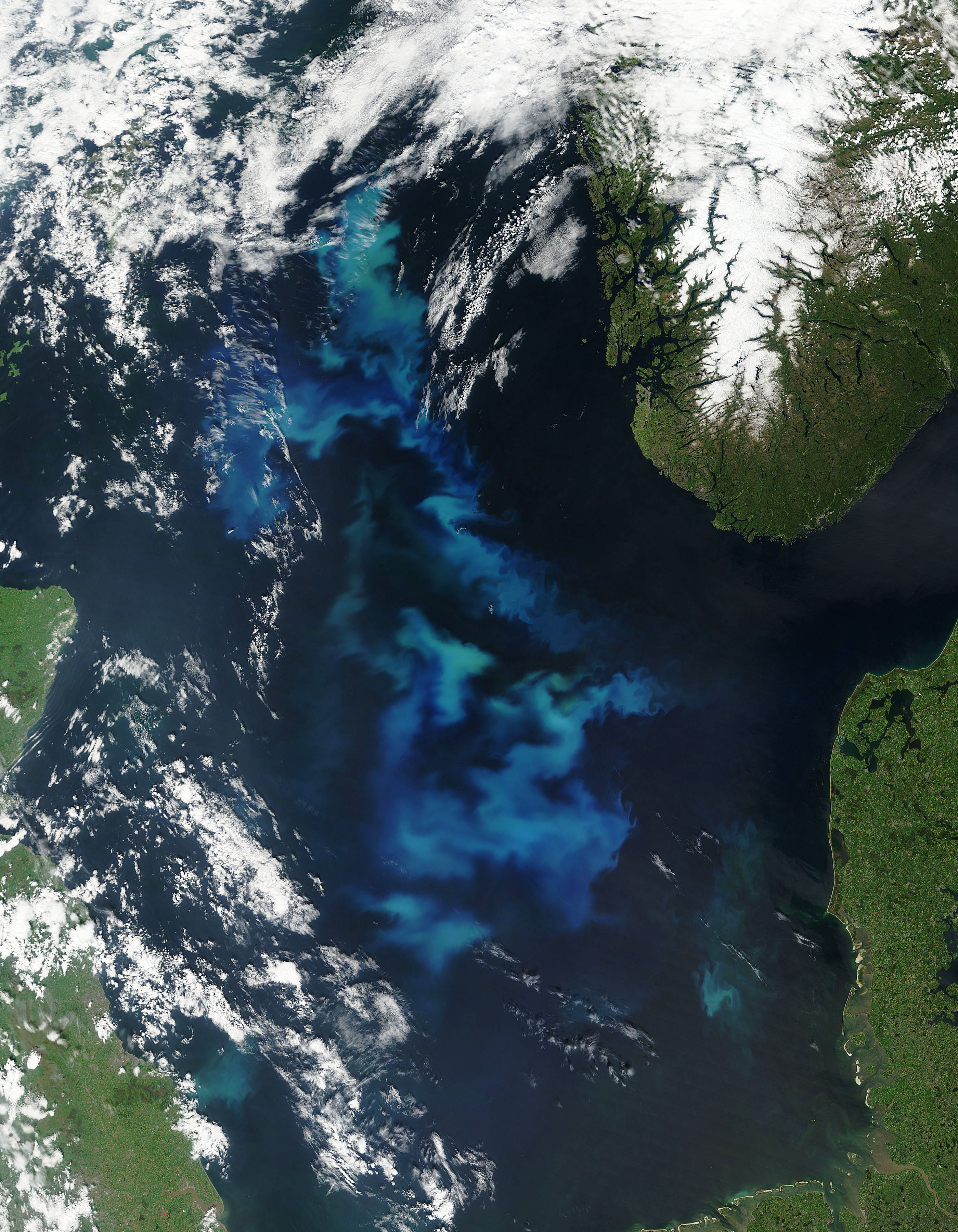 Phytoplankton and pollution pushed by the ocean across the planet ...
