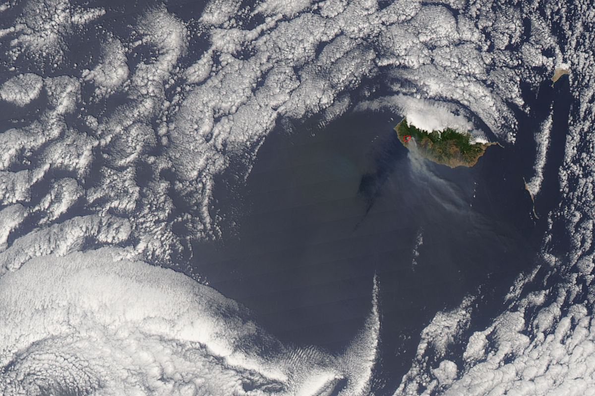 Fires and smoke on Madeira Island, Portugal - Earth.com