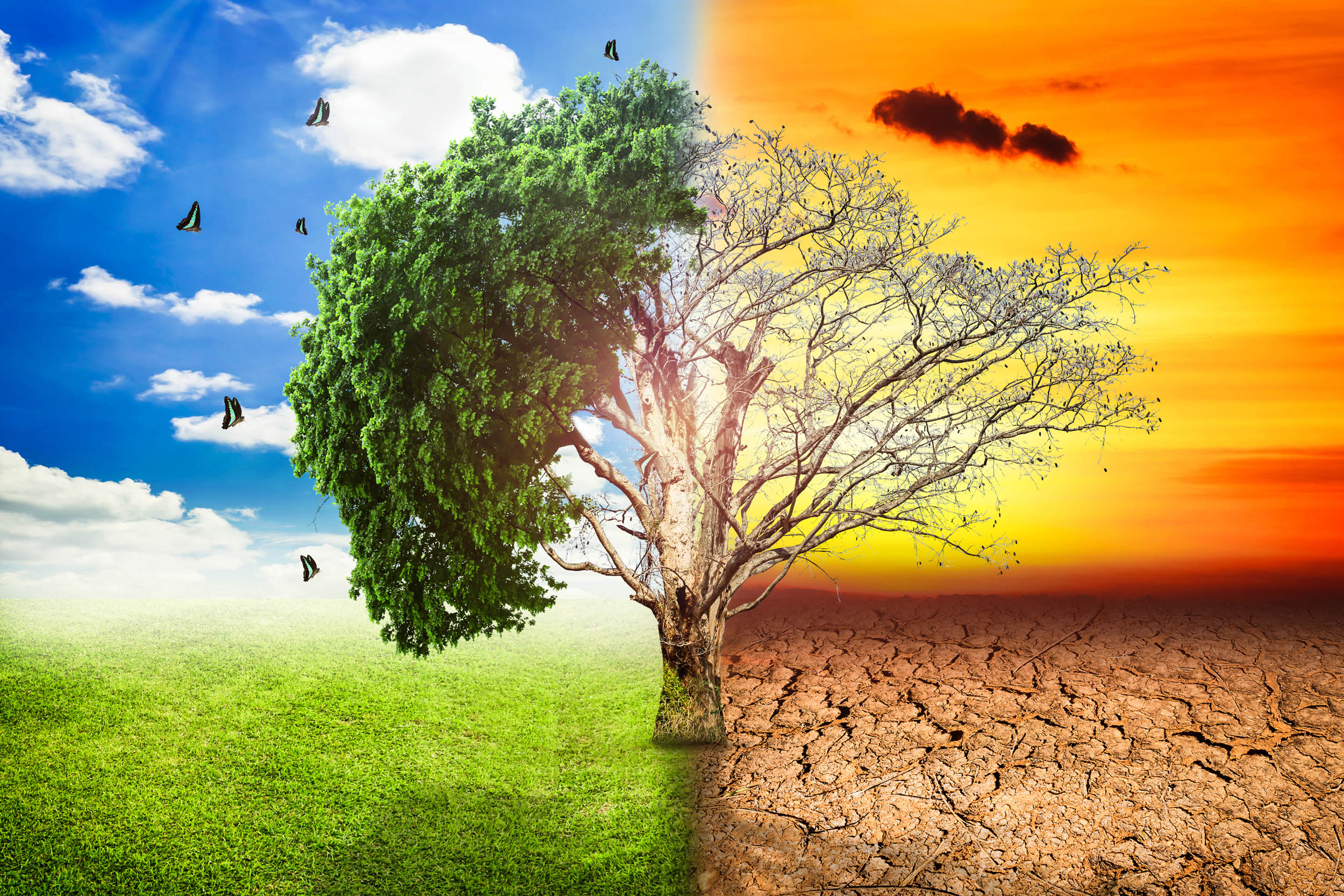 Climate Change Impact Blamed For Major Changes To Nature On Earth 