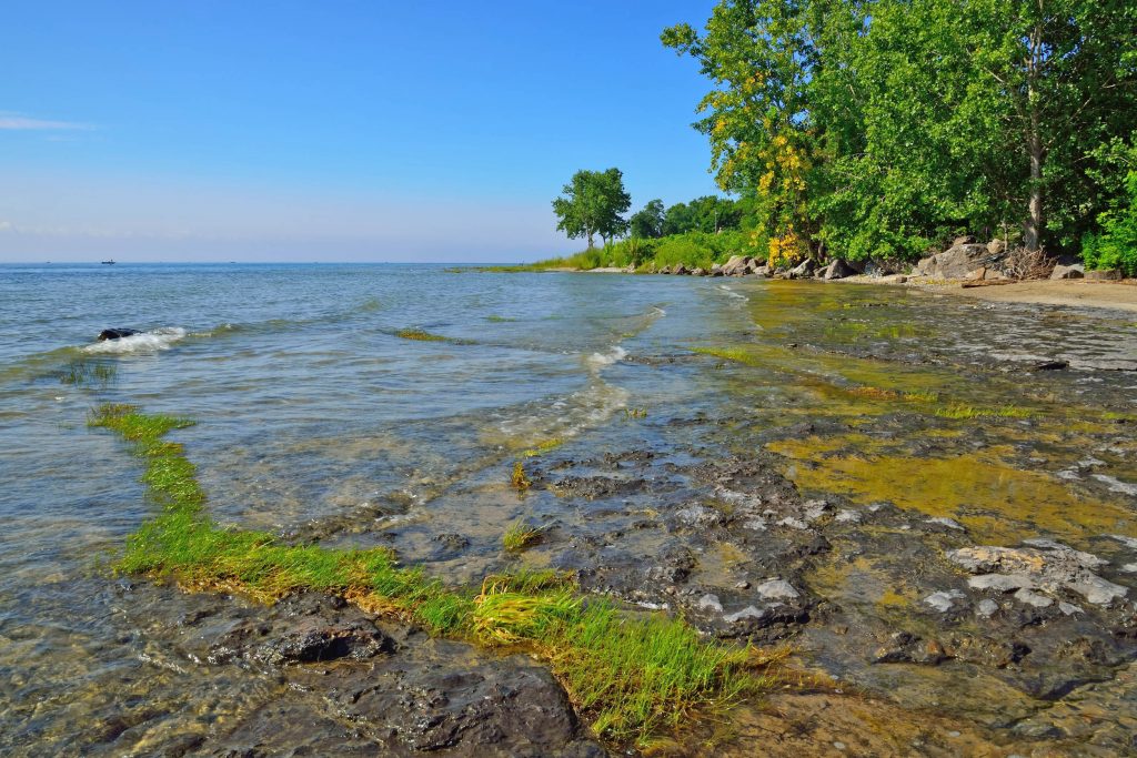 Protecting Lake Erie from agricultural runoff • Earth.com