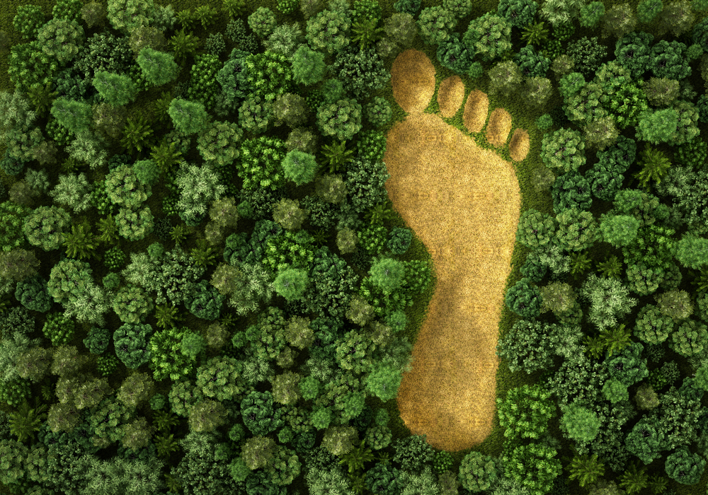 Human Footprint increasingly Visible In New Report From UN Earth