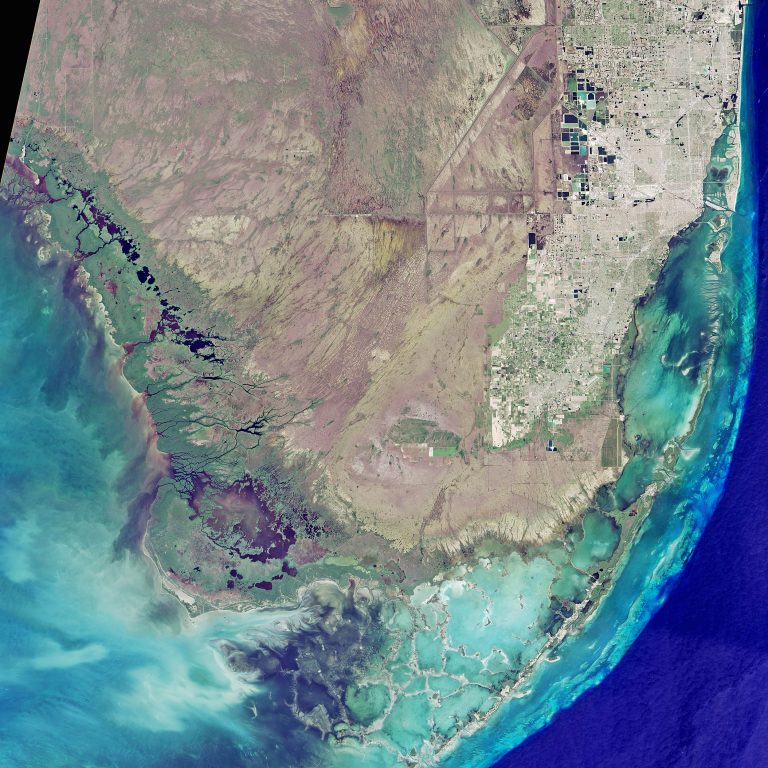 Changes in Everglades National Park in the past 30 years - Earth.com