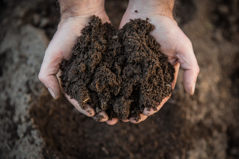 Water Balance Found To Influence Soil PH And Fertility Earth