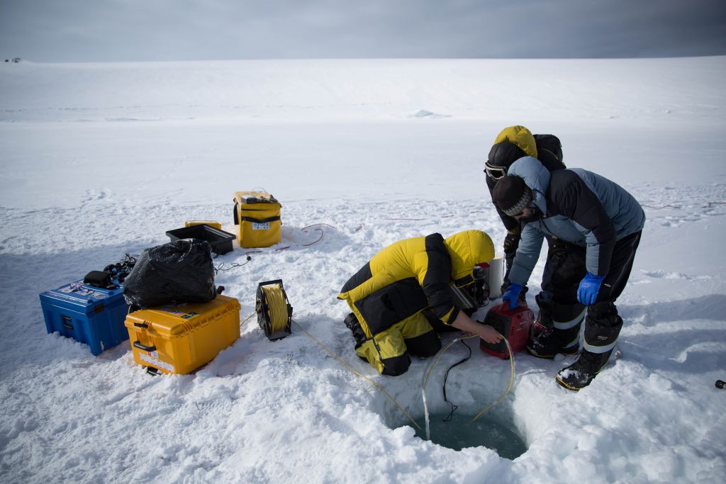 Scientists capture video of a thriving ecosystem beneath the Antarctic ...