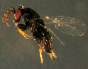 Image Gallery - Earth.com