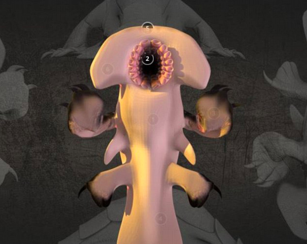 3D images show what aliens might really look like • Earth.com