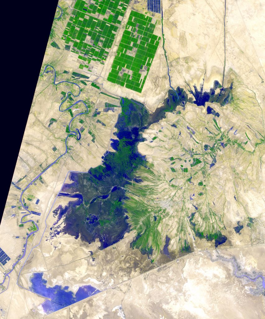 Satellite image shows Iran’s Shadegan Pond • Earth.com