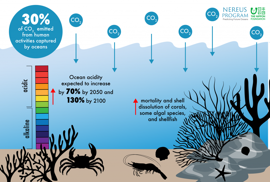 Renewing the ocean could help end poverty and world hunger - Earth.com
