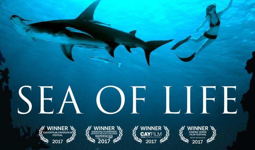 Earth.com movie review: Sea of Life • Earth.com