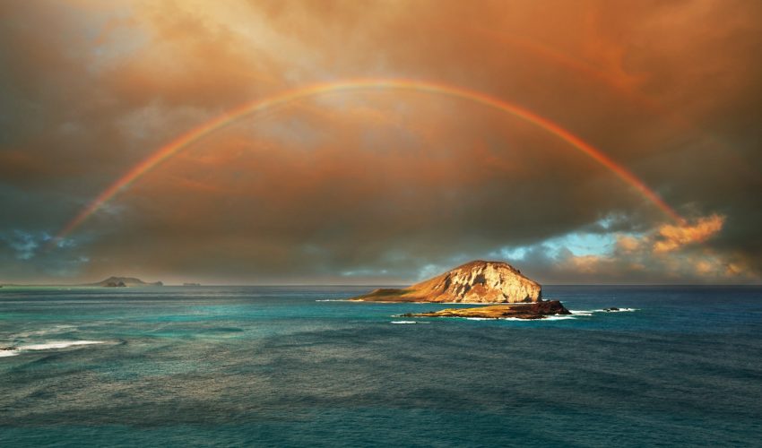 A closer look at the sunken lost continent of Zealandia • Earth.com