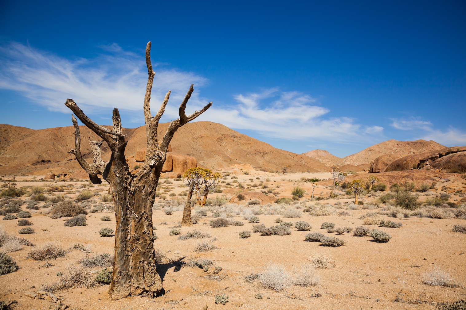 Climate Change Drove Humans Out Of Africa 70 000 Years Ago Earth