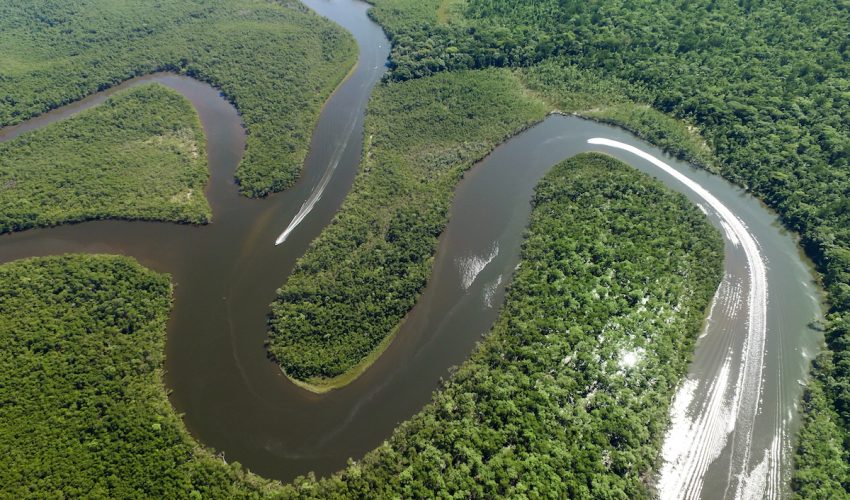 Hydropower in the Amazon could have huge environmental impact • Earth.com