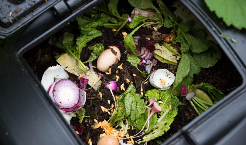 Composting leads to more eco-friendly decisions • Earth.com