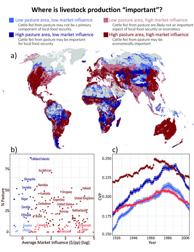 Grazing lands are extremely vulnerable to climate change - Earth.com