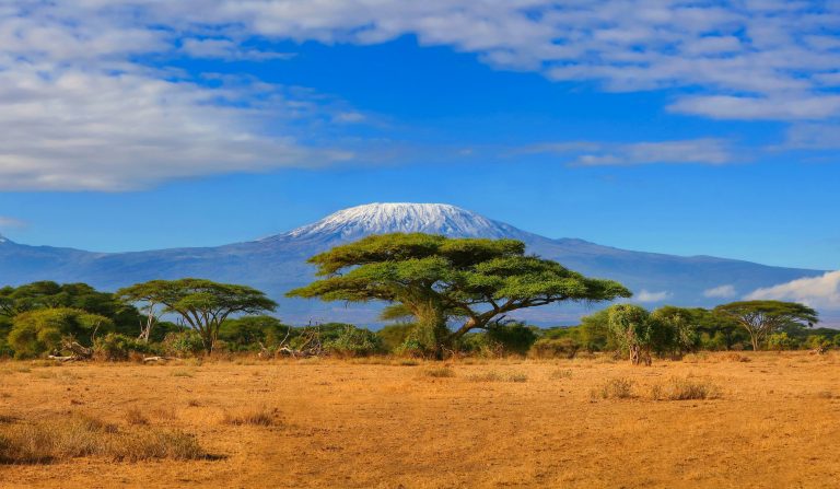 Modern humans evolved as East Africa’s environment transformed • Earth.com