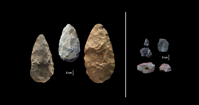 Sophisticated tools used by our earliest ancestors found in Africa ...