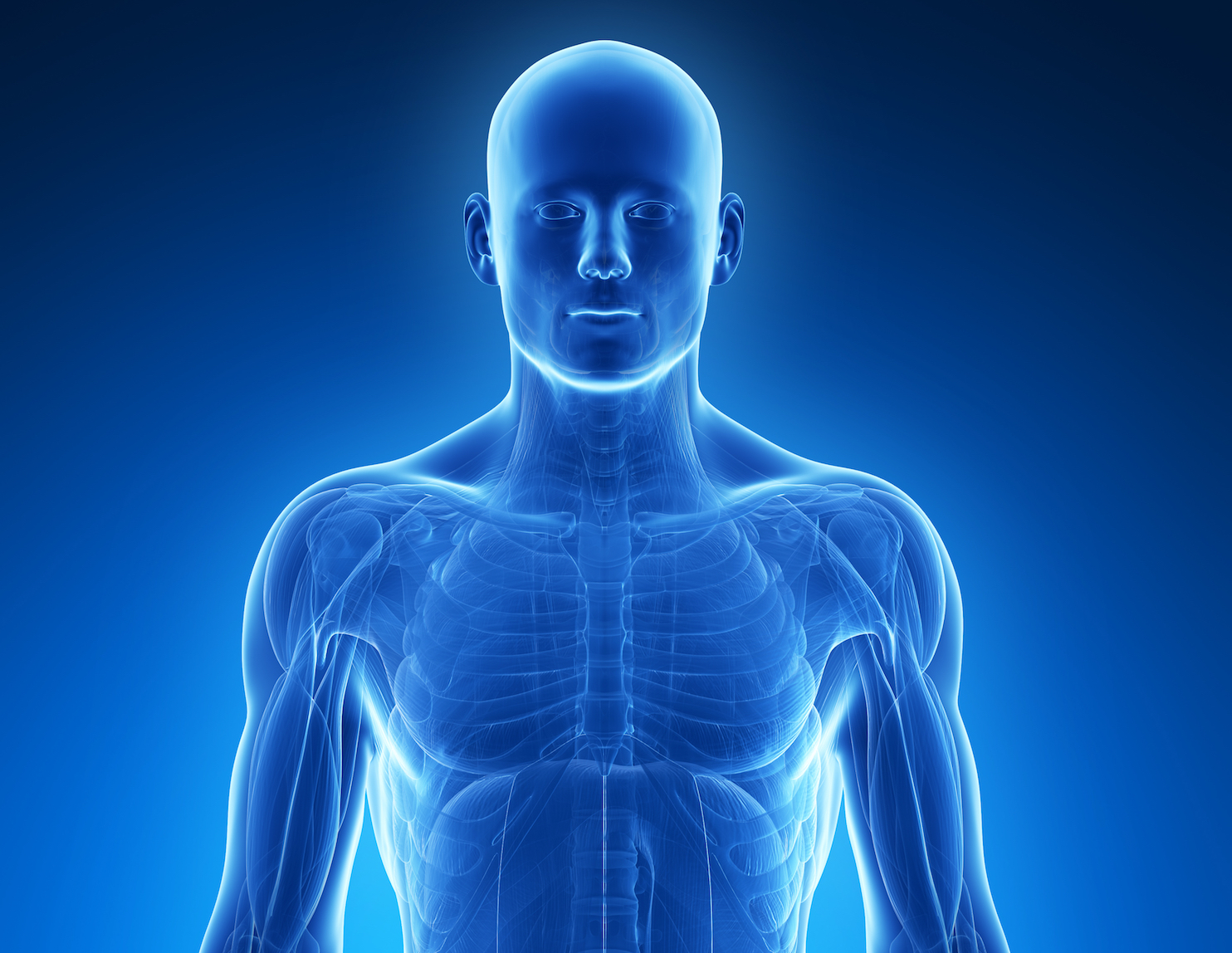 Newly Discovered Organ May Be The Largest In The Human Body Earth