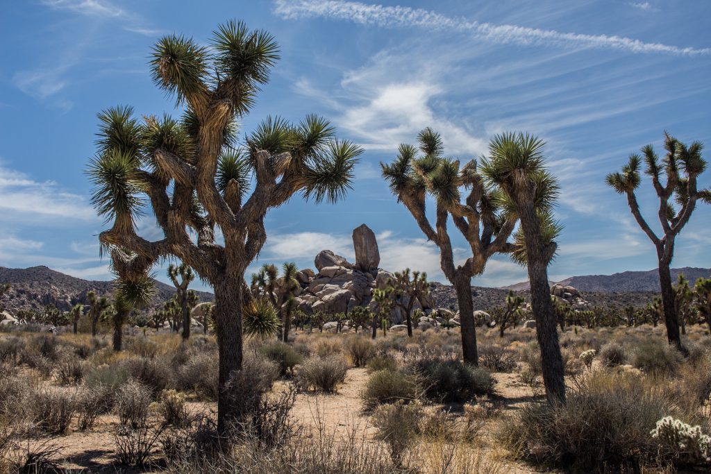 The end of the Great American Desert? • Earth.com