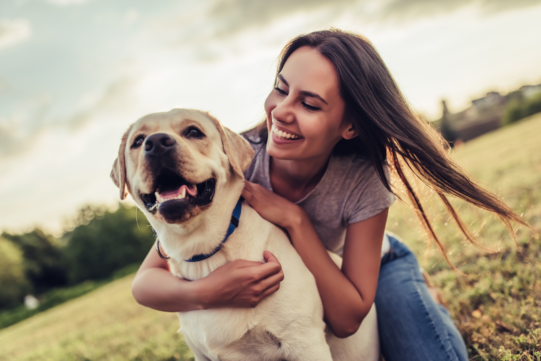 Dogs And Humans Have More In Common Than Previously Thought Earth