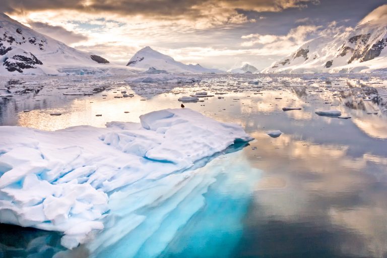 The plastic pollution crisis has reached the Antarctic • Earth.com