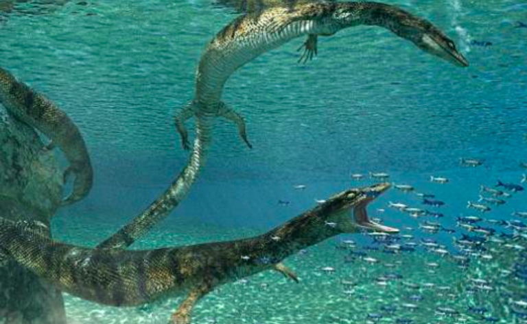 New species of ancient marine lizard found in Italy • Earth.com