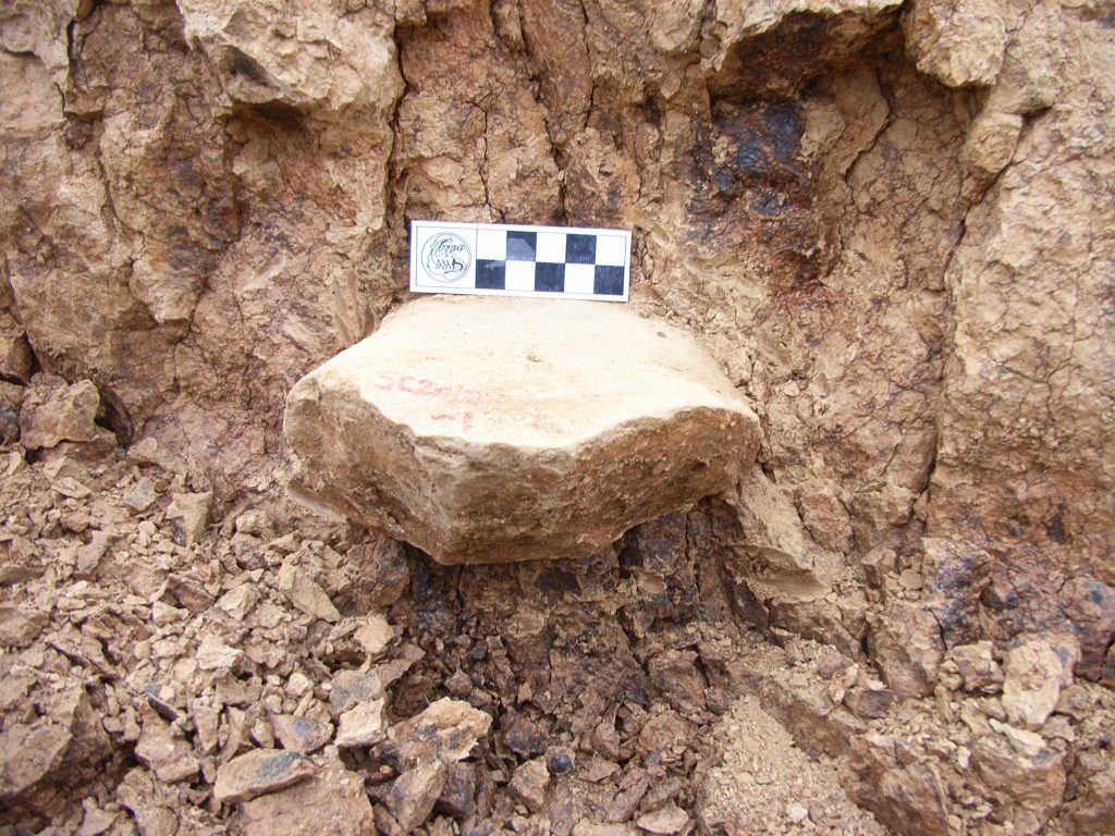 Fossils reveal that humans left Africa earlier than we thought • Earth.com