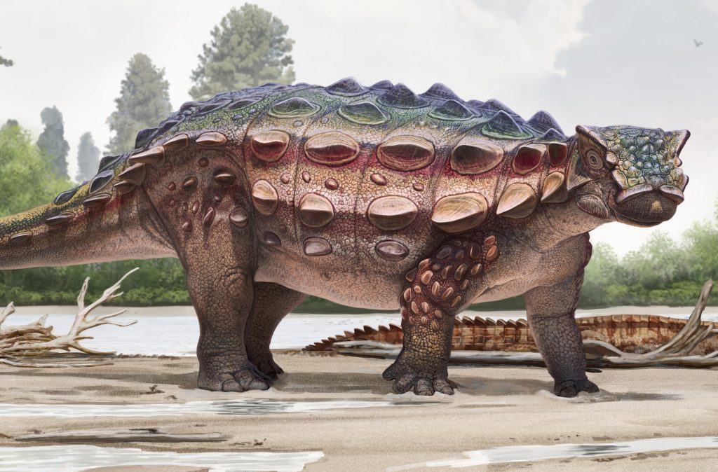 New armored dinosaur discovered in Utah • Earth.com