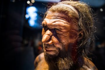 Ancient teen had parents from two different human species • Earth.com