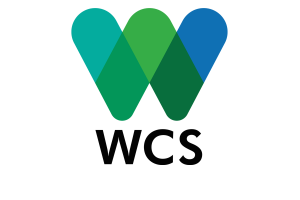 Take Action • Earth.com