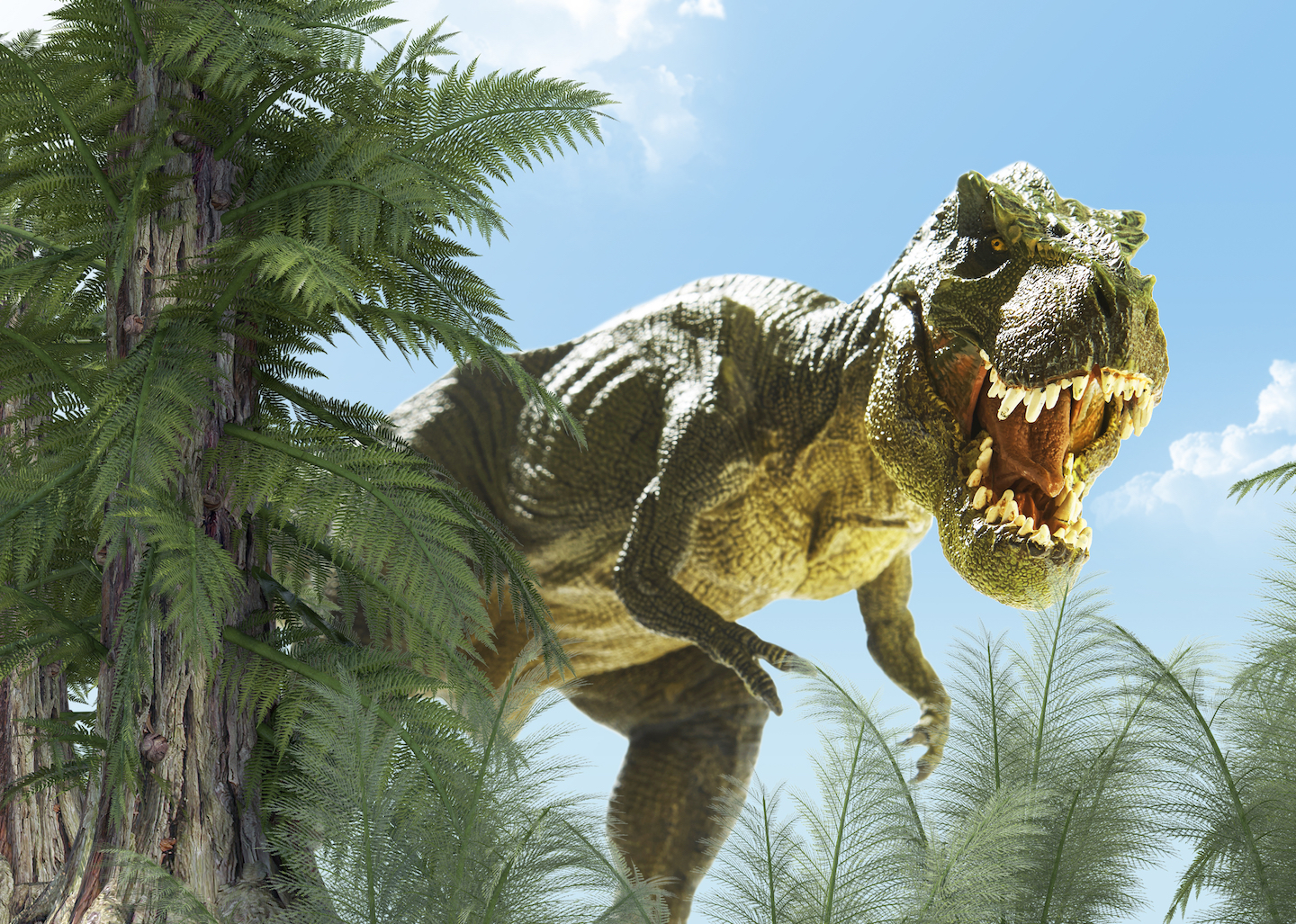 Dinosaurs had DNA that provided a “blueprint” for success - Earth.com