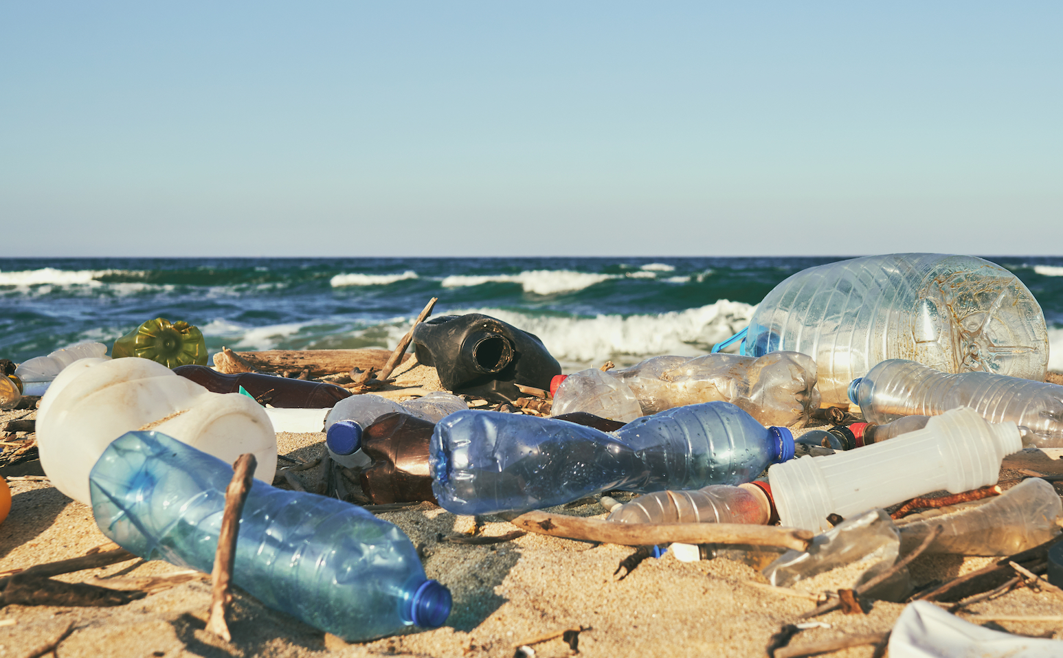 Can biodegradable plastics help slow plastic pollution? - Earth.com