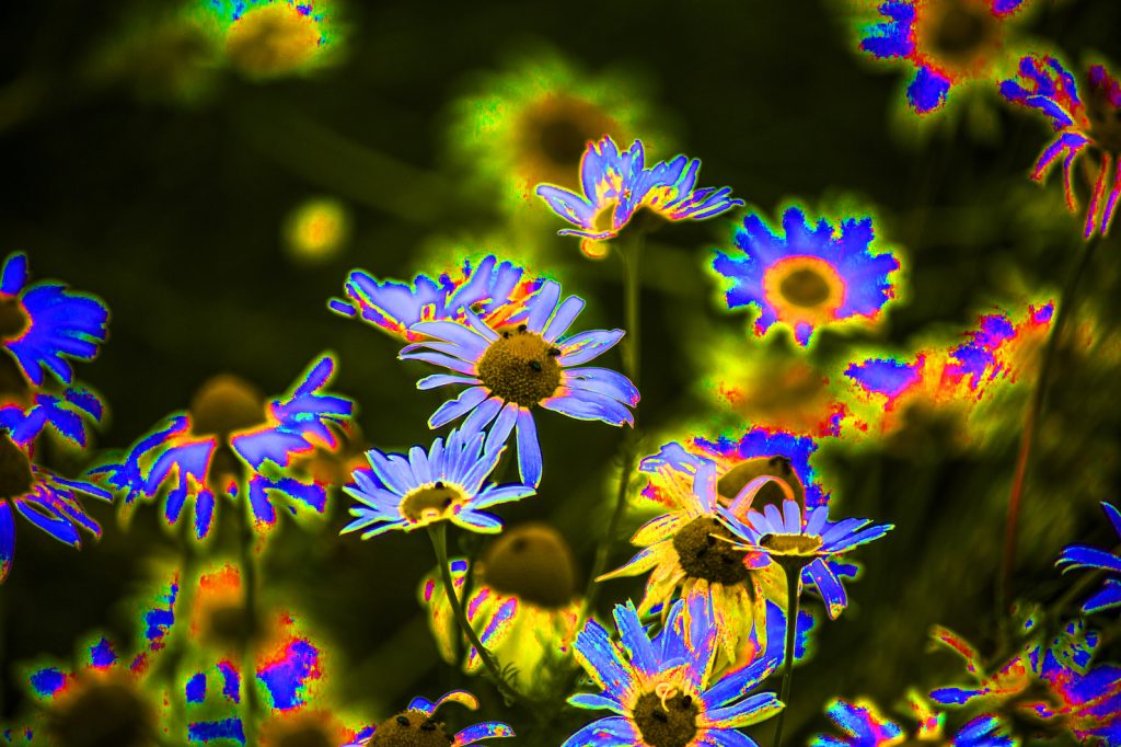 First ever study launched to explore benefits of microdosing LSD ...