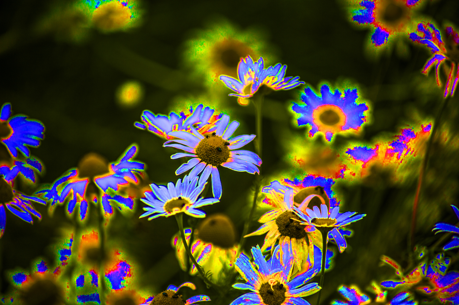 First ever study launched to explore benefits of microdosing LSD ...