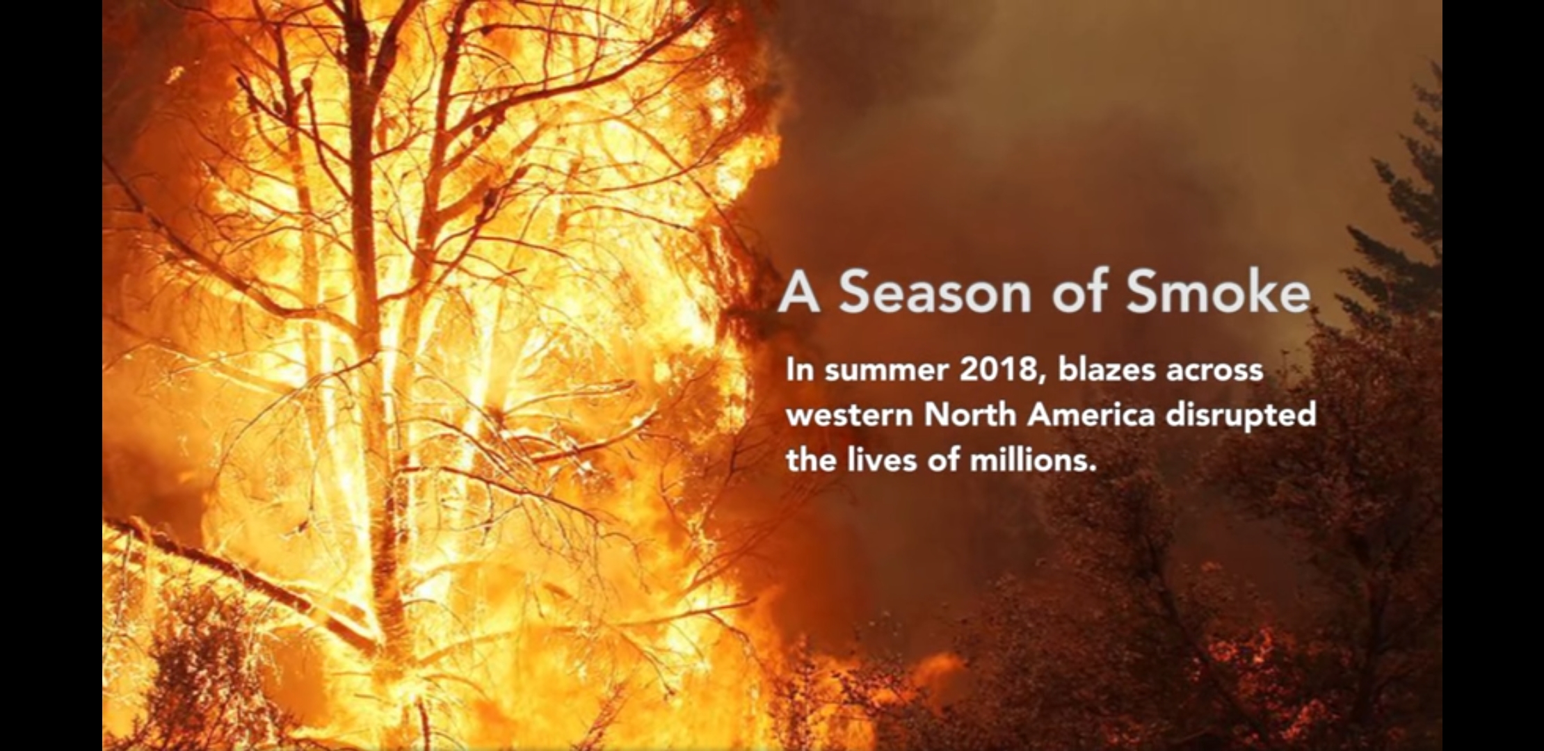 The destructive wildfire season of summer 2018 - Earth.com
