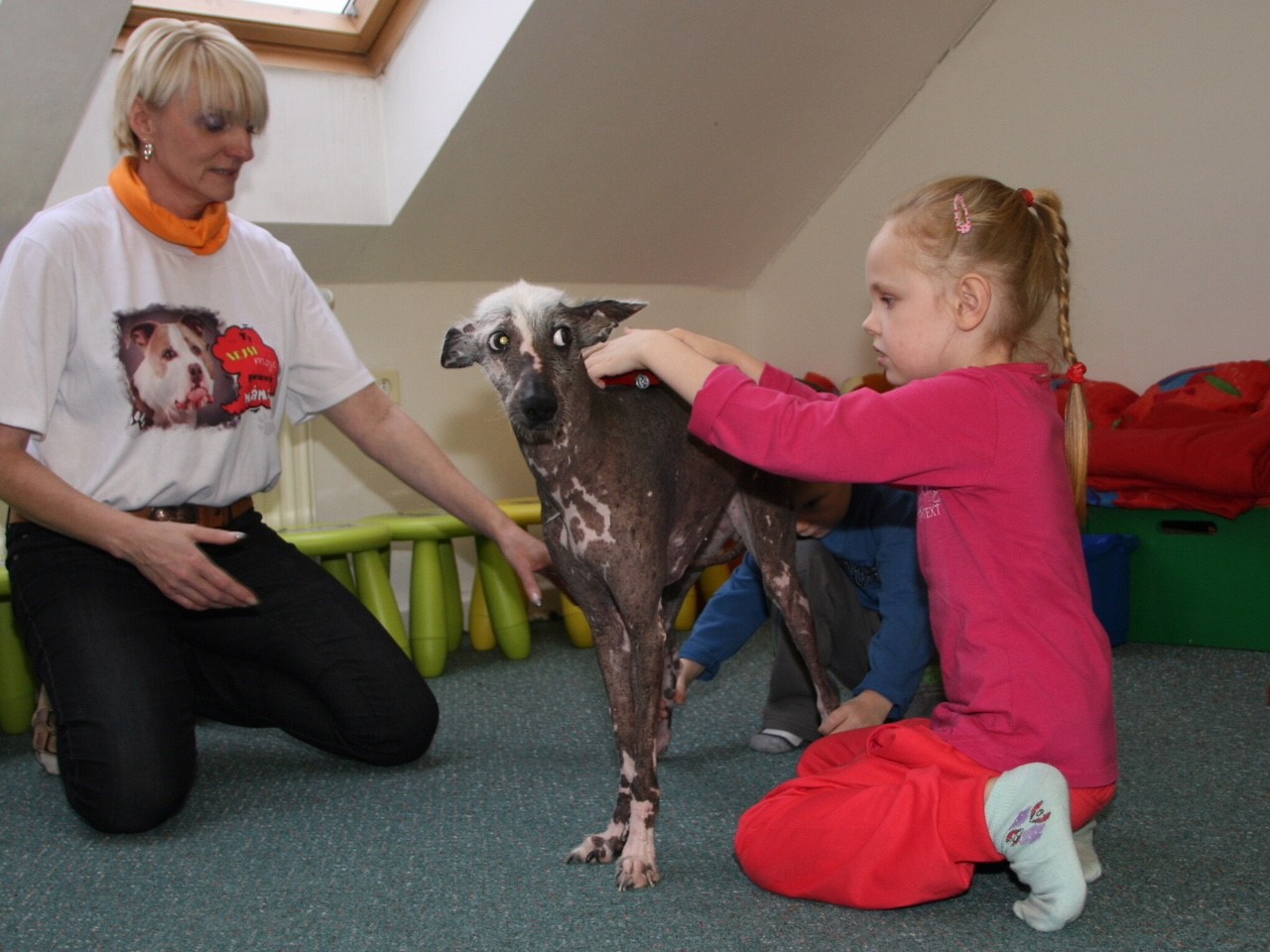 Dog-assisted speech therapy found to be effective with children - Earth.com