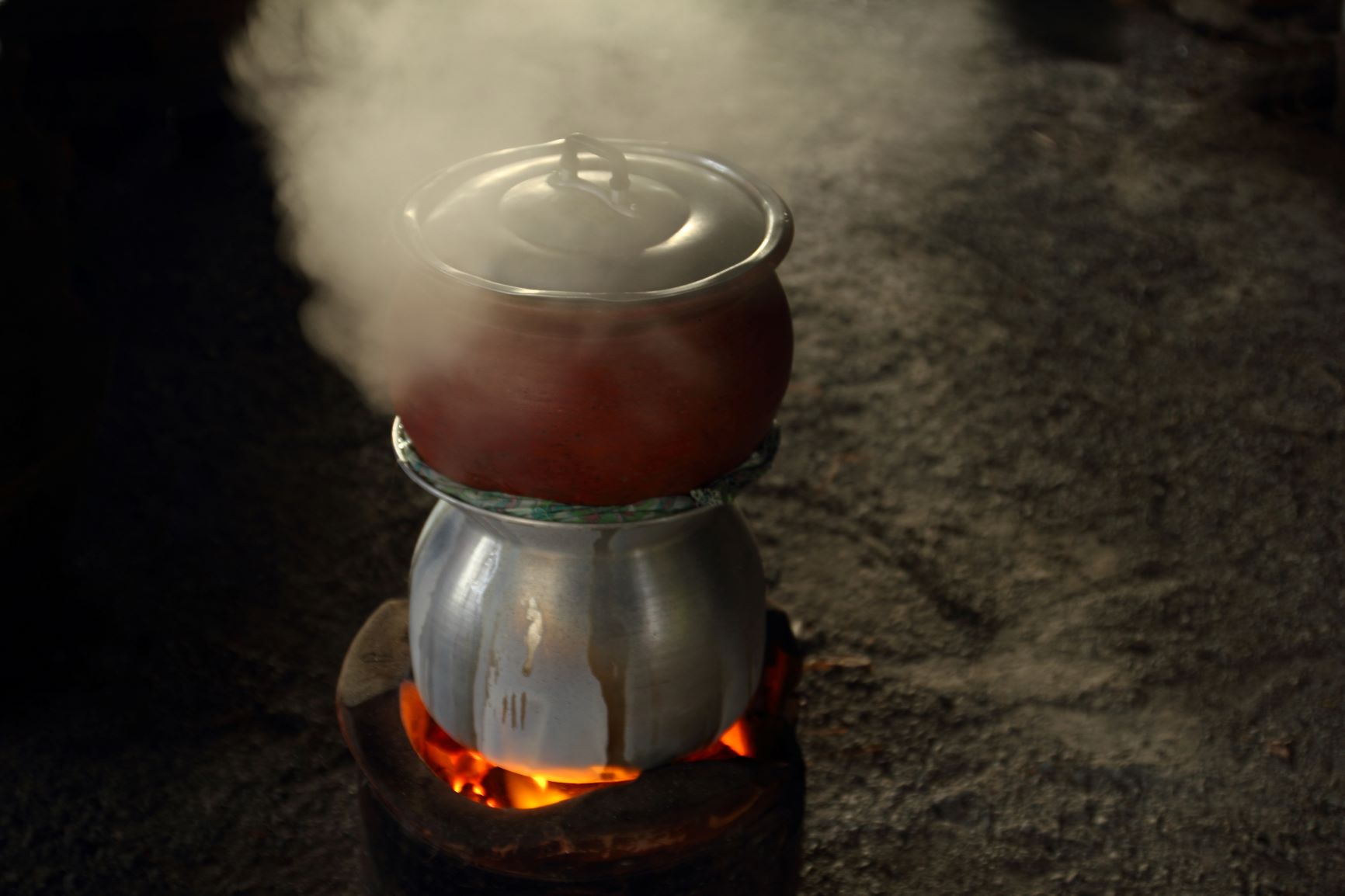 Cooking with wood or coal increases risk of respiratory disease - Earth.com
