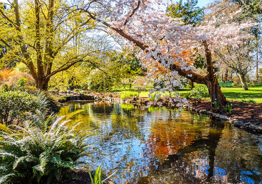 Earlier springtime hinders seasonal plant growth - Earth.com