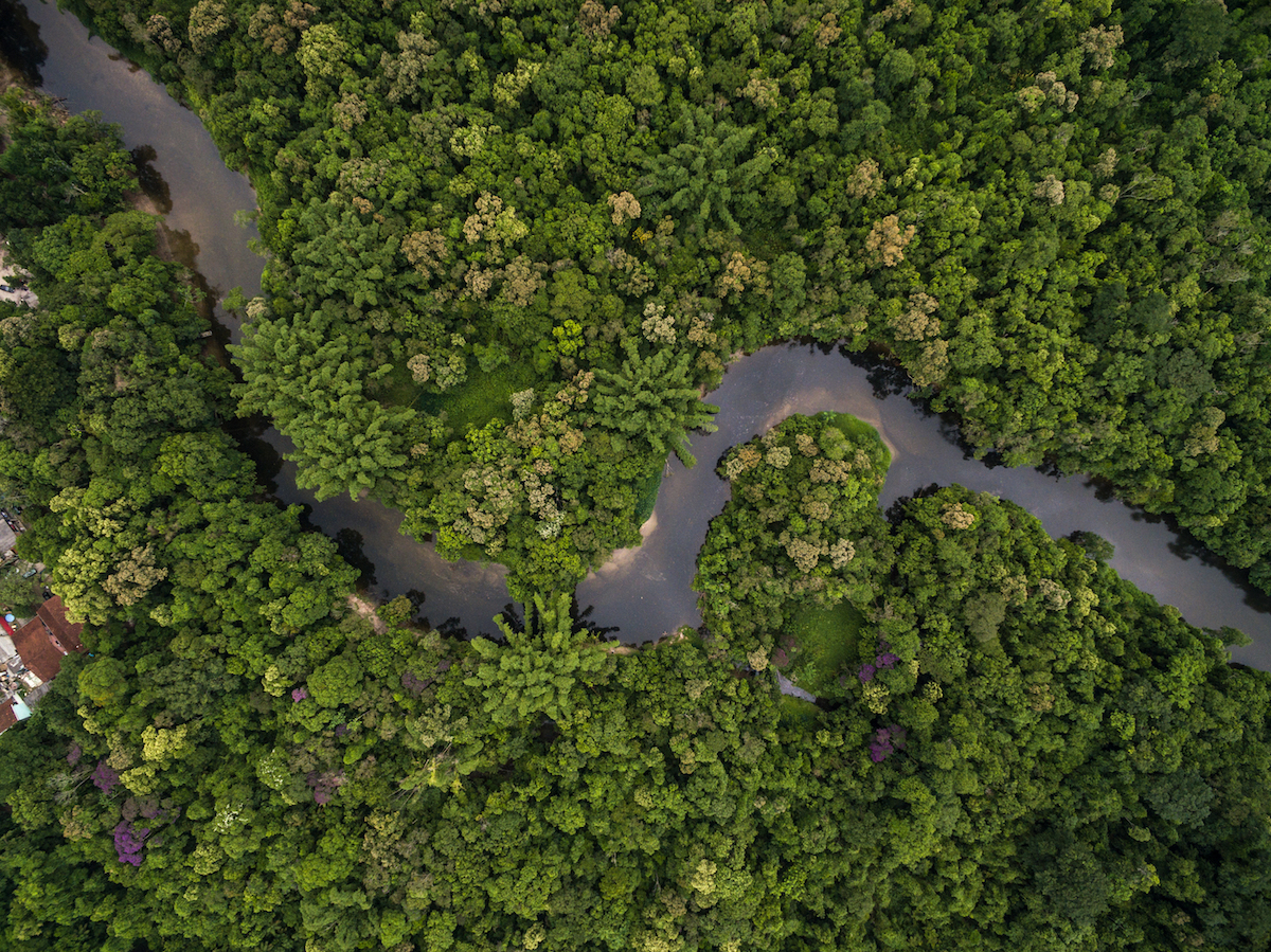 Drones spy on ‘uncontacted’ tribes in the Amazon - Earth.com