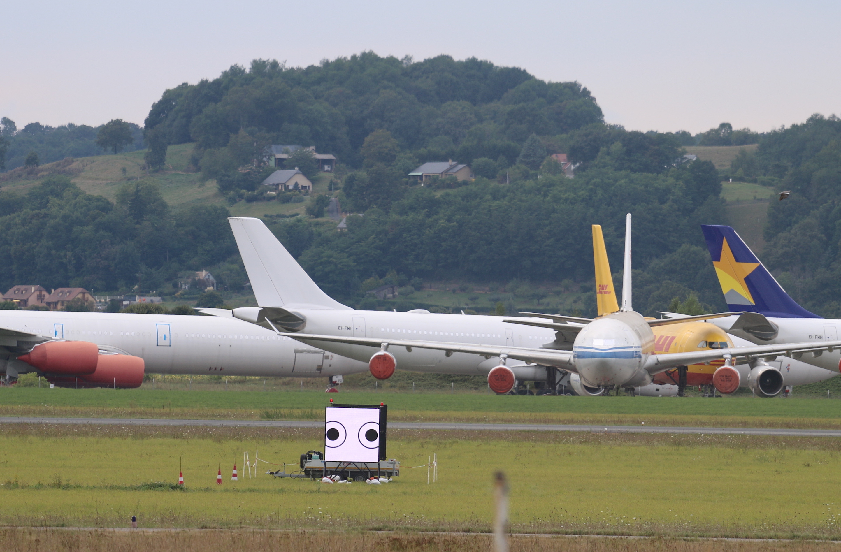 New optical illusion used to repel birds from planes - Earth.com