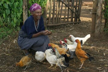 Diverse approach may help boost sustainable farming in Africa • Earth.com