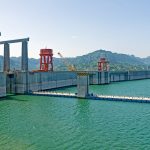 New bioengineering method could improve rice crop yields • Earth.com