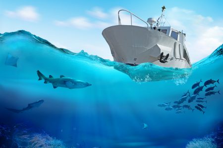 Slowing down boats can reduce underwater noise pollution • Earth.com