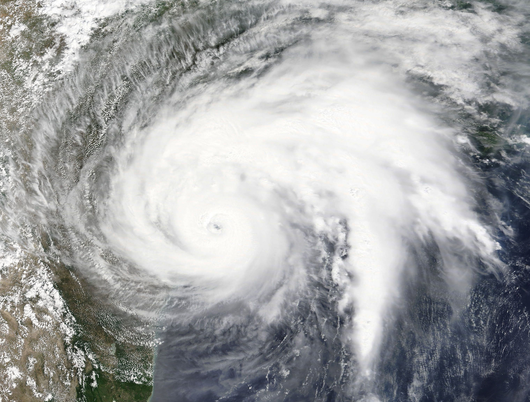 Gulf Coast fish continue to spawn amidst more extreme hurricanes ...