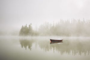 What is Mist? - Earth.com