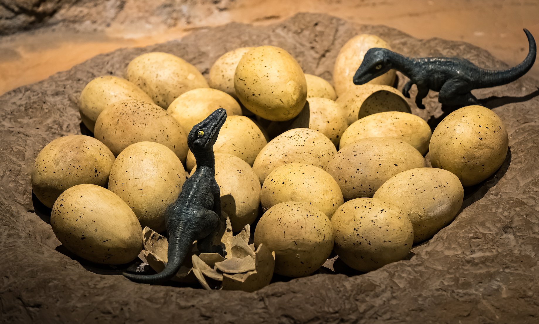 Preserved Eggs Reveal How Dinosaurs Raised Their Kids Earth