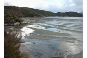 What is Mudflats? - Earth.com