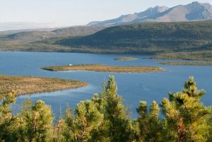 What is Taiga? - Earth.com