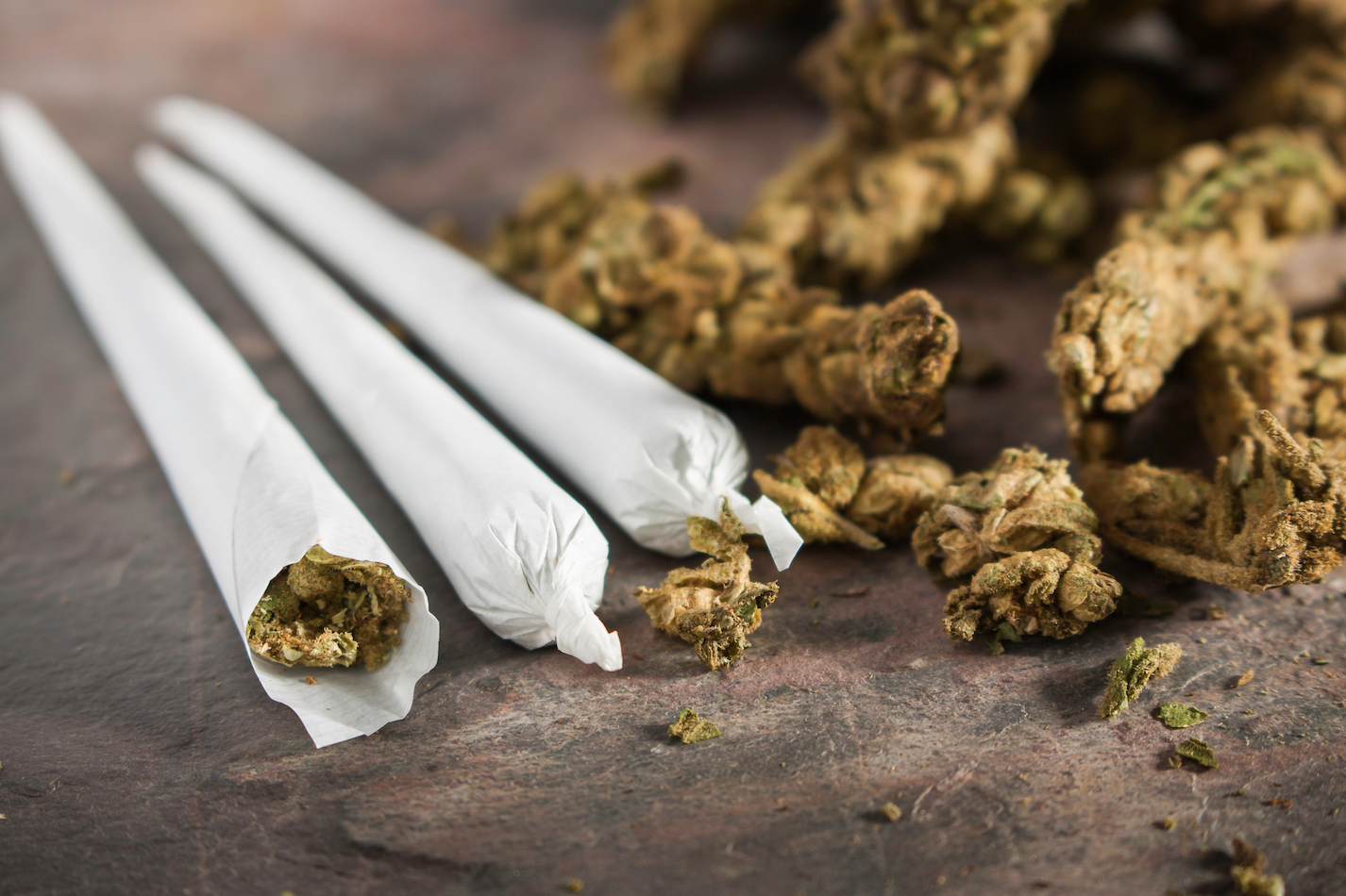 New drug can reduce cannabis withdrawal symptoms - Earth.com New drug can reduce cannabis withdrawal symptoms - Earth.com